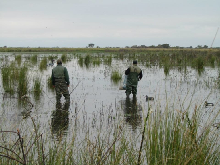 Chasse de canards en argentine - Camp de chasse à San Janvier